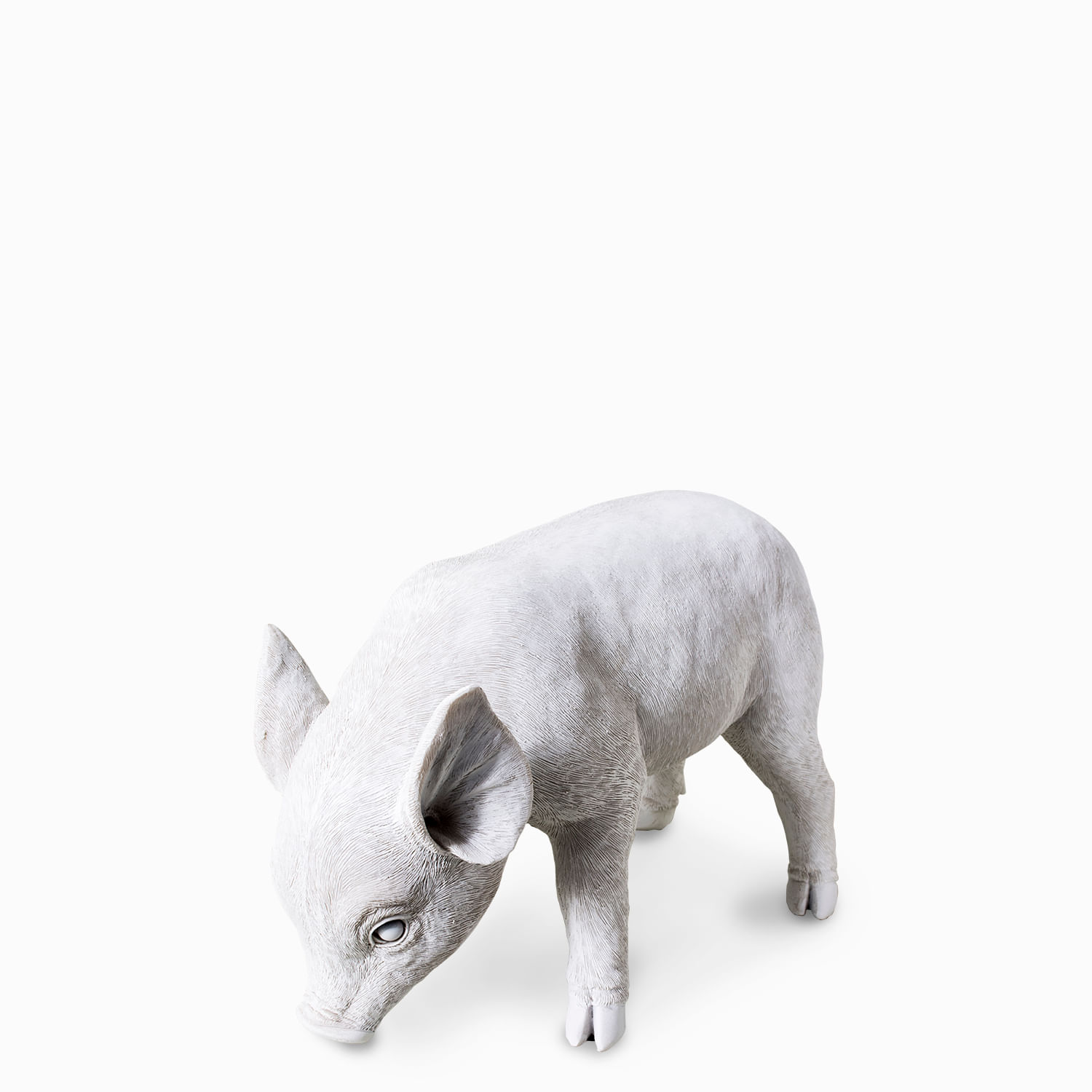 Mini pig blanco - Ambiente Gourmet | Ambiente Living