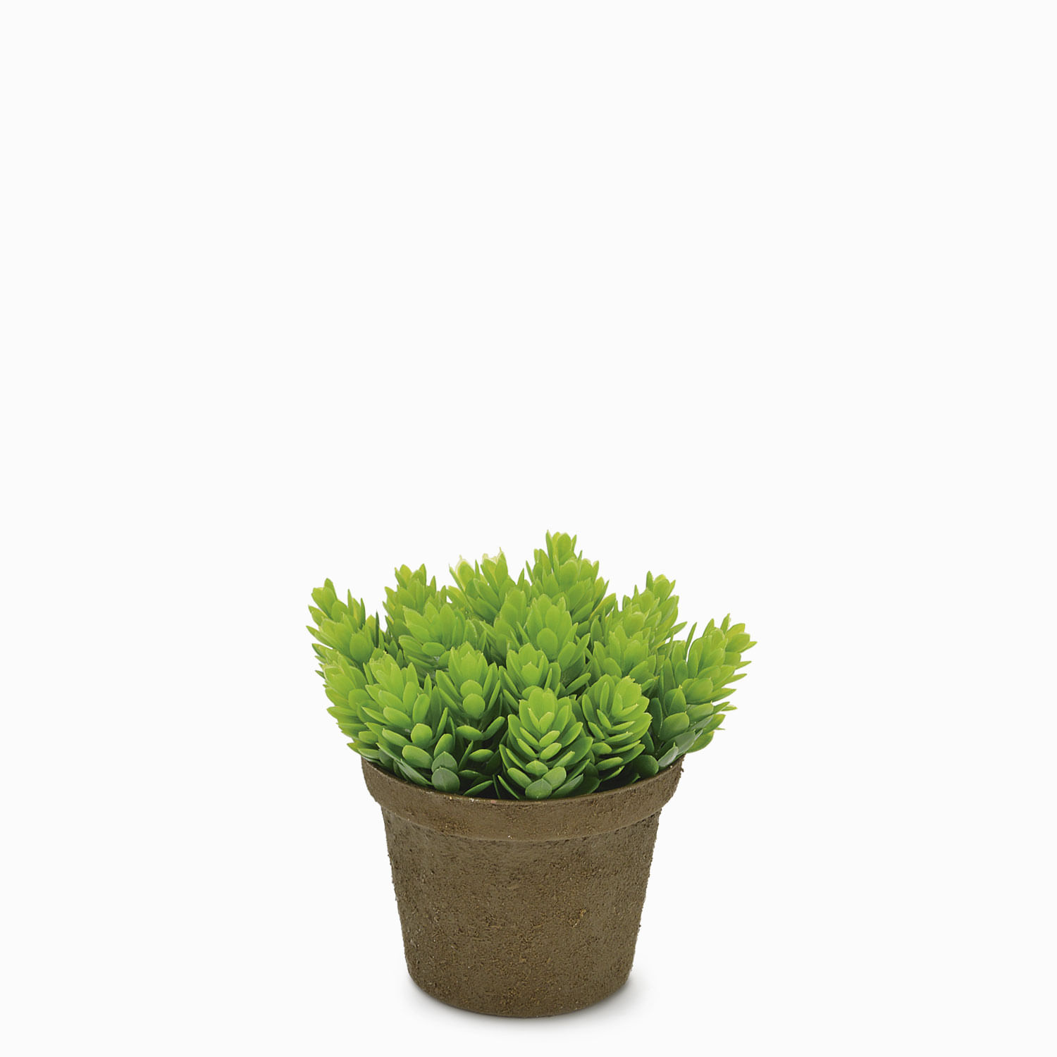 Mini pino - Ambiente Gourmet | Ambiente Living